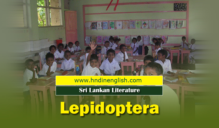 Lepidoptera - Sri Lankan Literature - HNDinEnglish.com